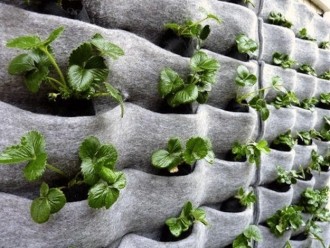 20 Vertical Gardening Ideas for Turning a Small Space into a Big ...