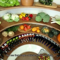 In-Ground Refrigeration - No Electricity Required - Walden Labs