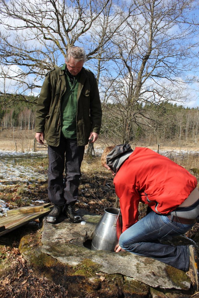 DIY Bog Butter: A Gastronomic Perspective - Walden Labs