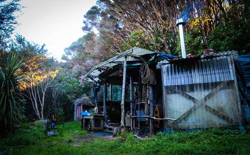 This Forest Den Home Only Cost $12 to Build - Walden Labs