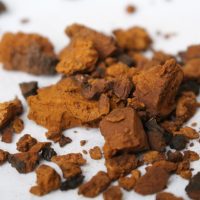 Chaga - The Old New Superfood - Walden Labs