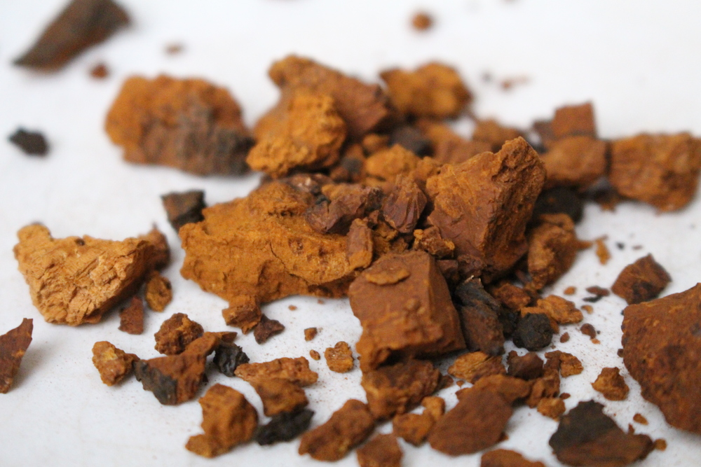 Chaga - The Old New Superfood - Walden Labs